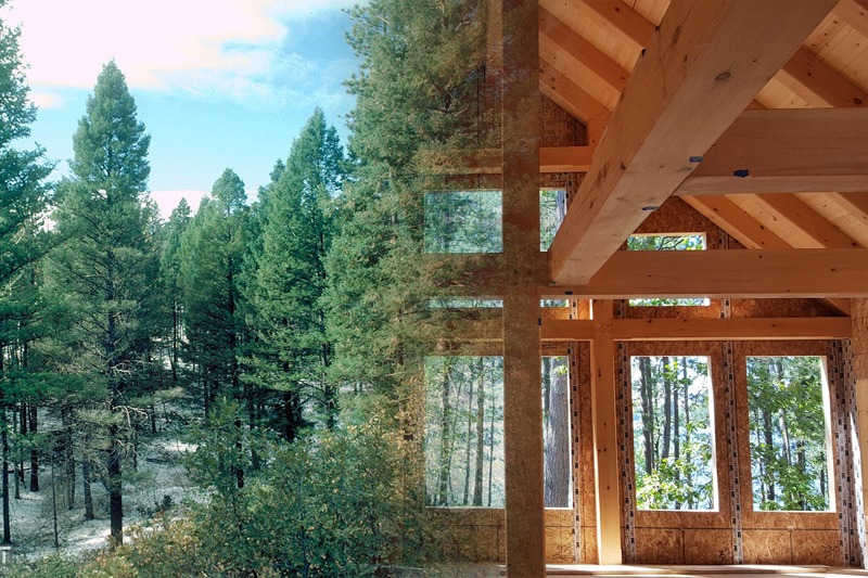 Wood in the Construction Industry: A Sustainable and Versatile Building ...